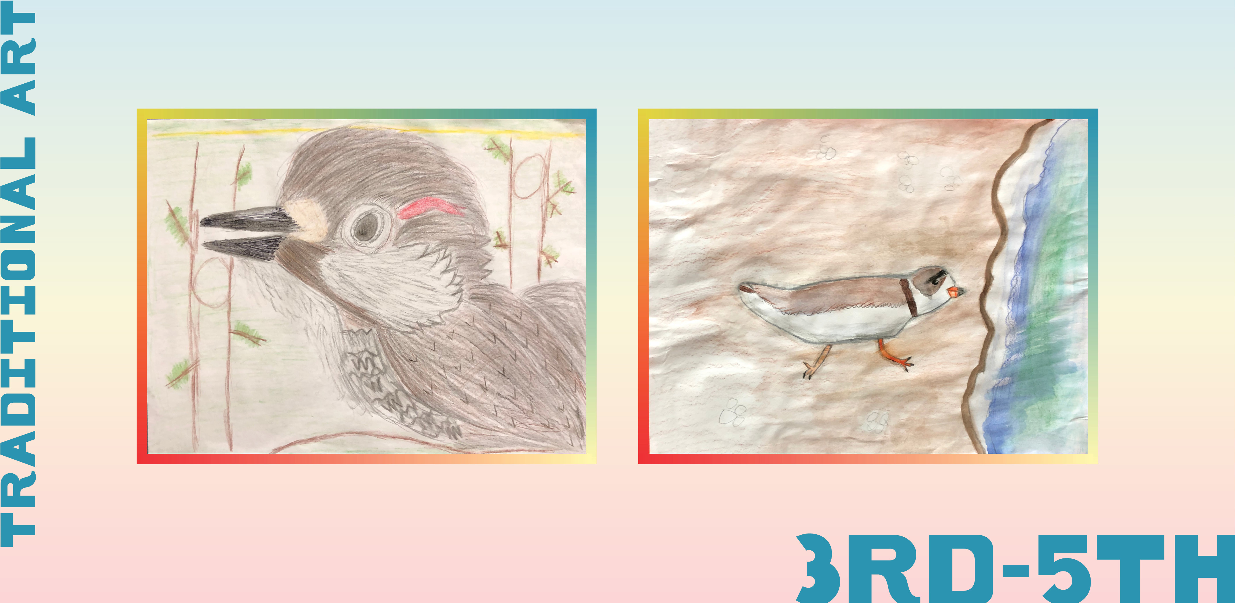 Audubon Art Exhibition - Columbus State University
